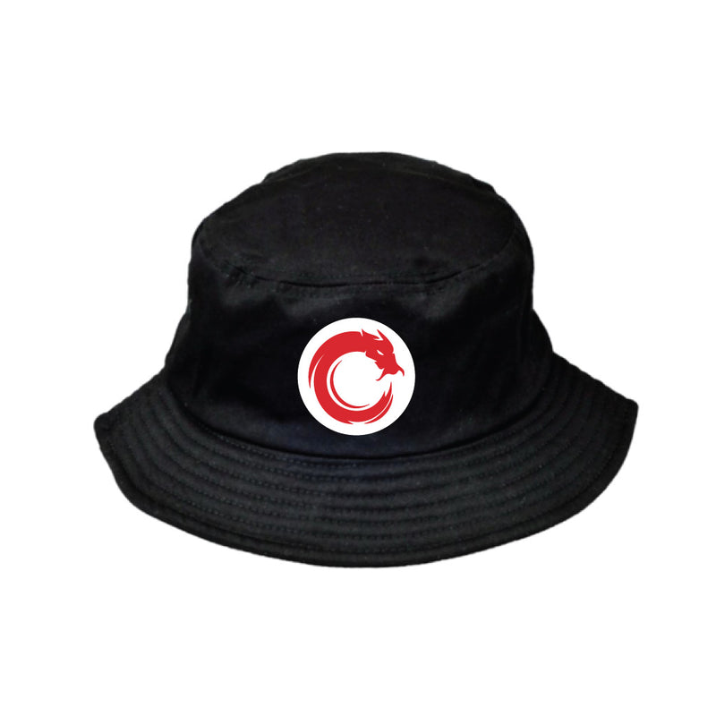 Hong Kong Flying Disc Federation